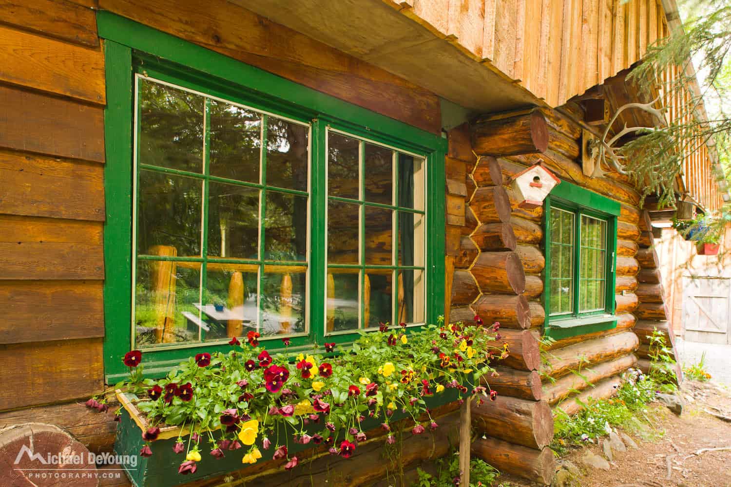 MD110711TAK_KP_059 – Alaska Rivers Company